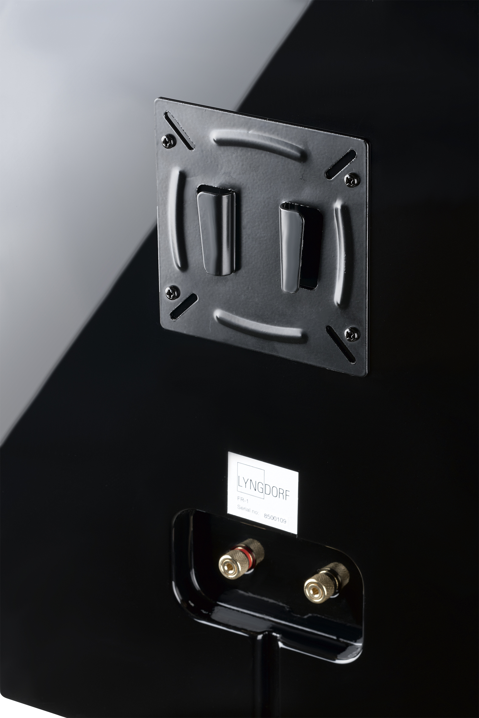 Lyngdorf FR-1 (FR1) Full range loudspeaker 2pcs.