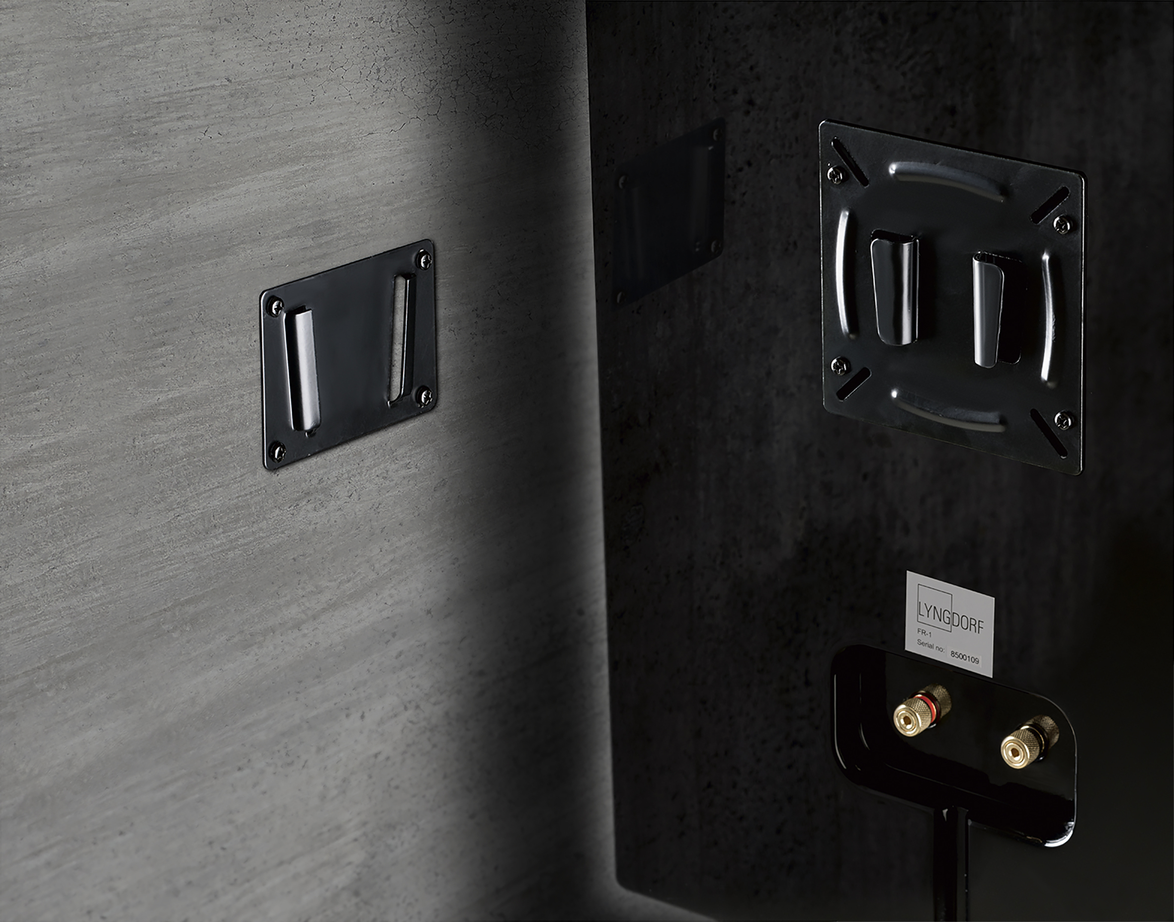 Lyngdorf FR-1 (FR1) Full range loudspeaker 2pcs.