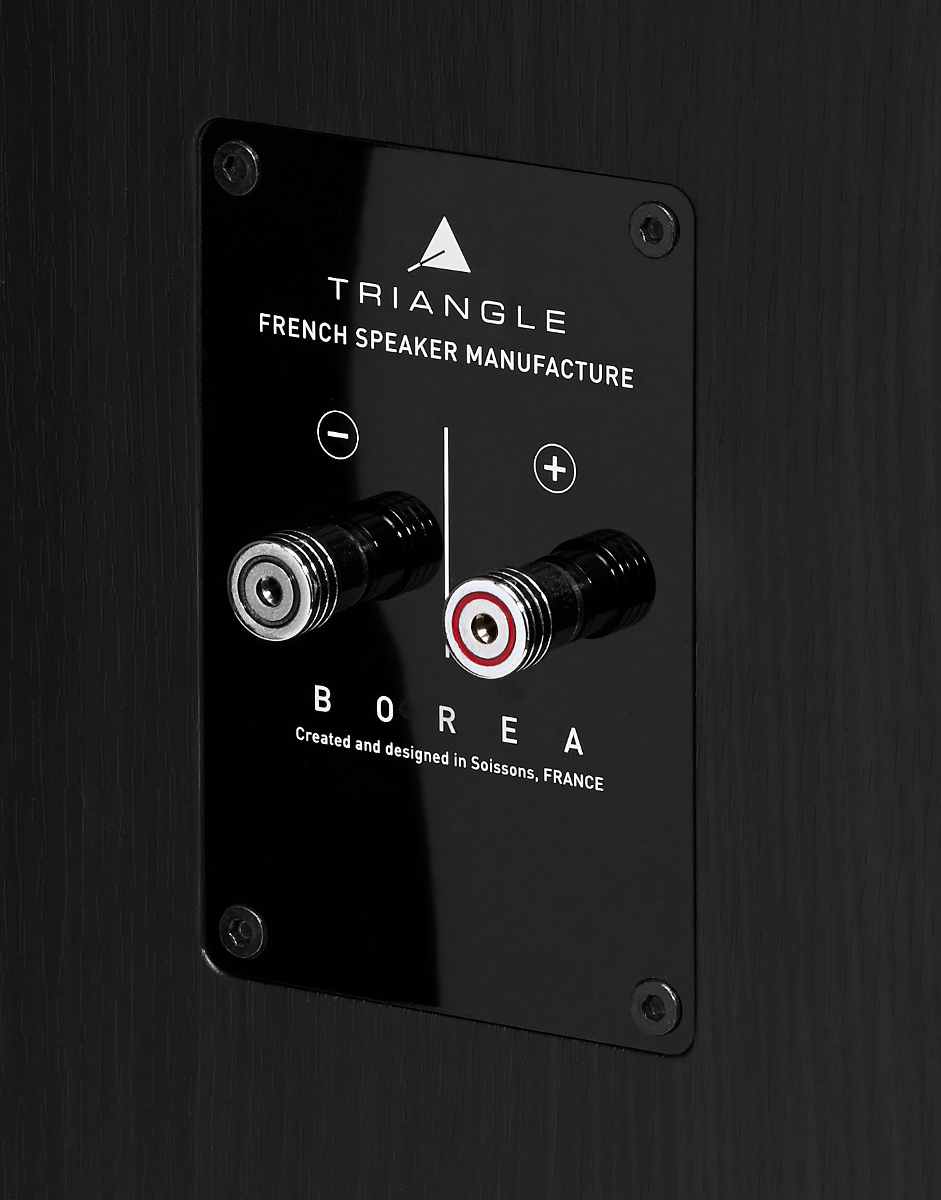 Onkyo TX-NR6100 + Triangle Tales 340 + Triangle Borea BR07 + Triangle ...