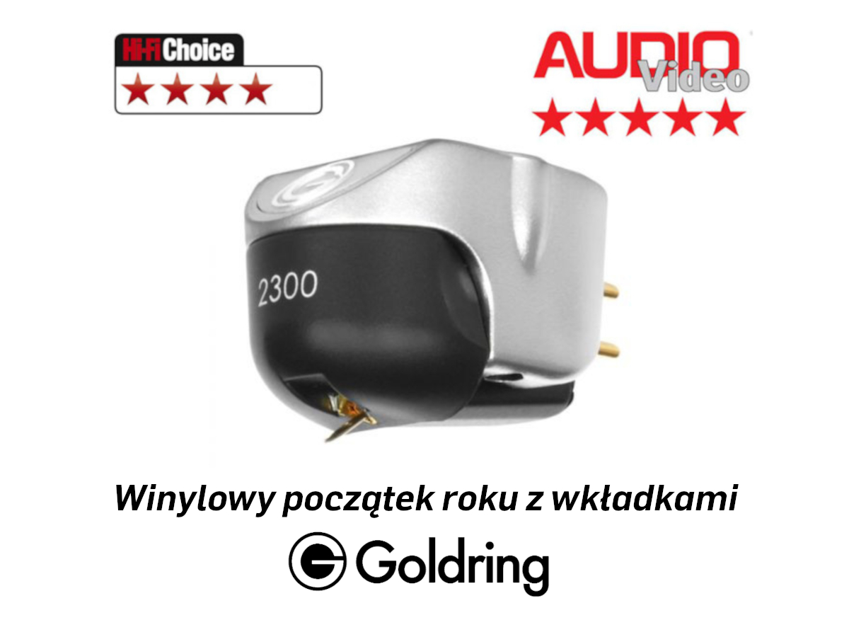 Vinyl start of the year with Goldrigng cartridges