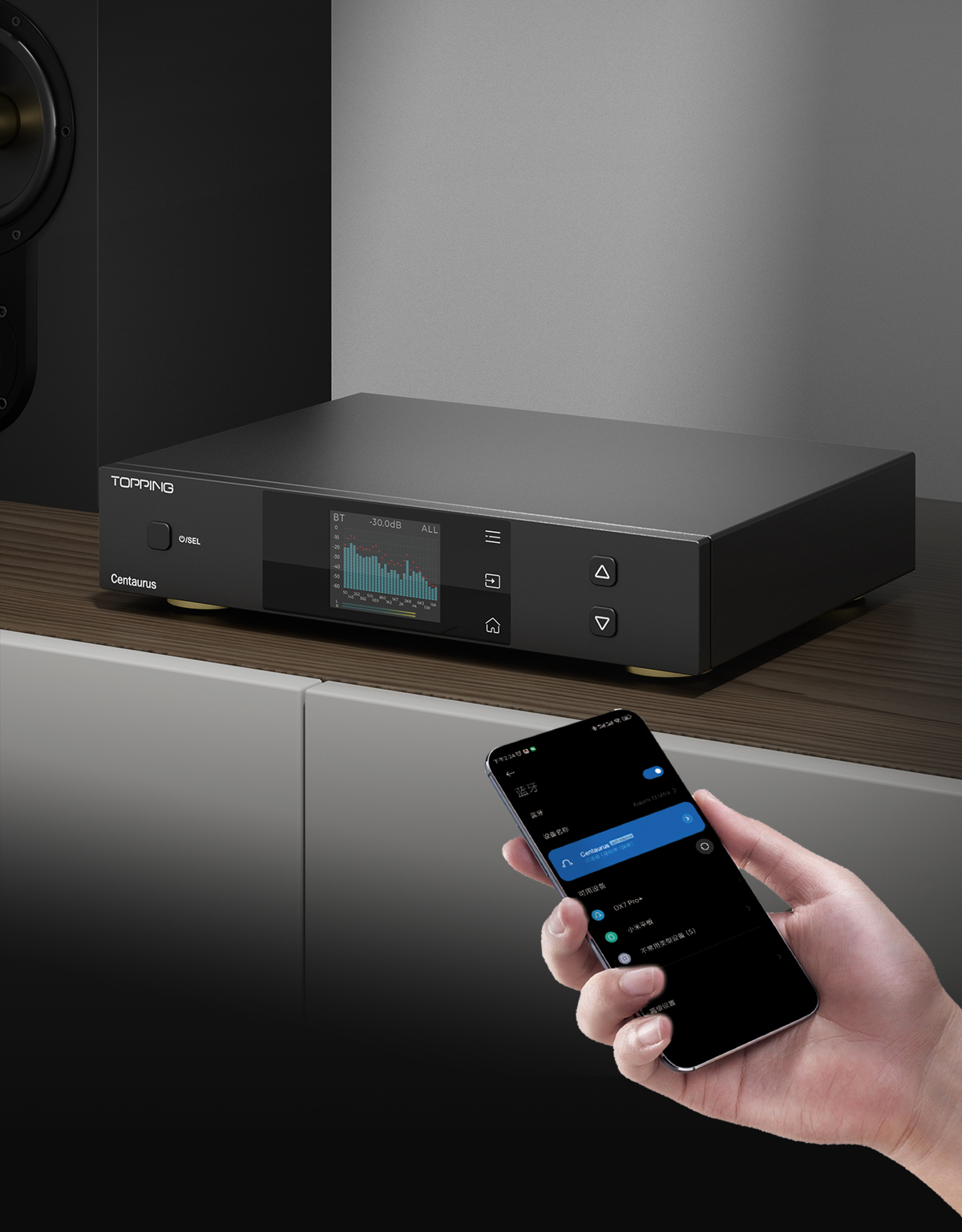 Topping Centaurus Digital-to-analogue converter, R2R DAC
